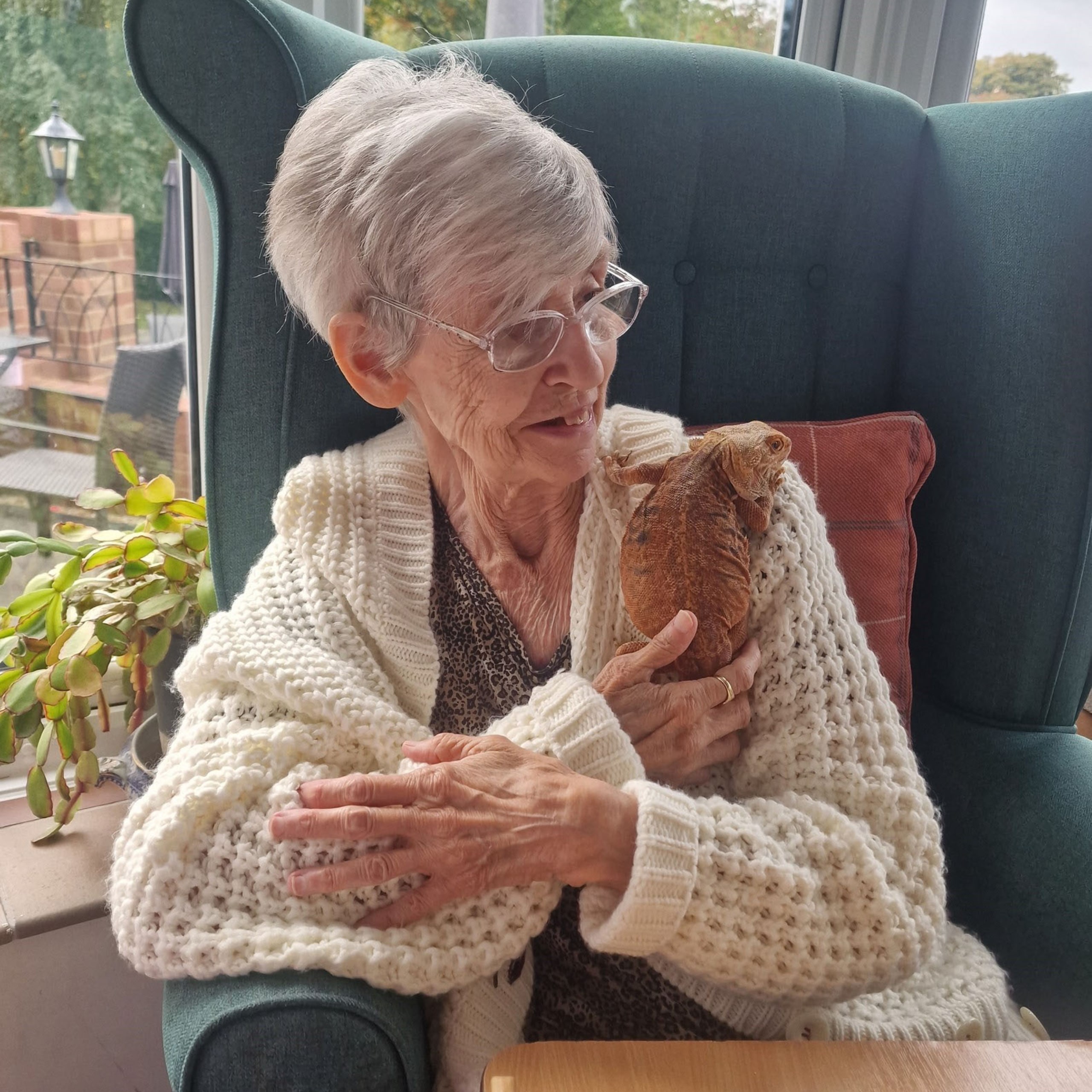 The Friendly Dragon of Dungate Manor - Larchwood Care
